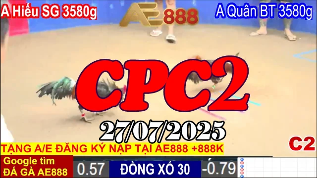 Thomohomnay ĐÁ GÀ TRỰC TIẾP THOMO HÔM NAY 2025