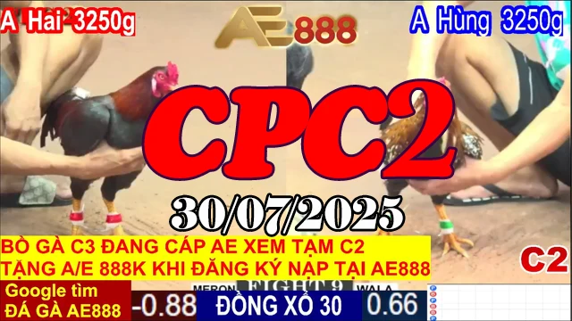 Thomohomnay ĐÁ GÀ TRỰC TIẾP THOMO HÔM NAY 2025